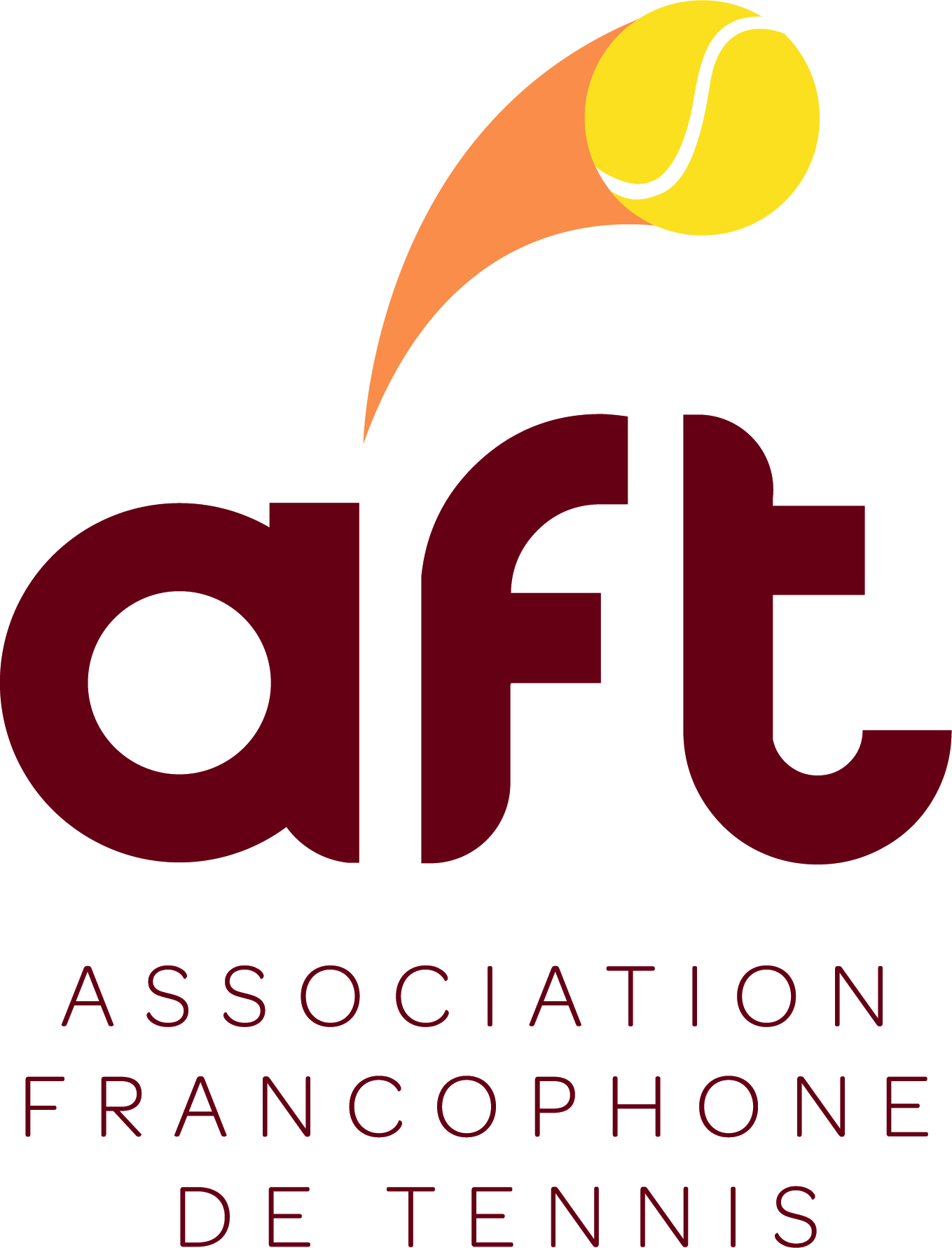 Logo AFT - Ligue Handisport Francophone